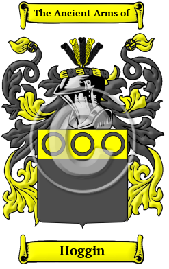 Hoggin Name Meaning, Family History, Family Crest & Coats of Arms