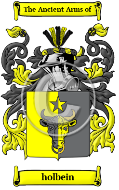 Holbein Name Meaning, Family History, Family Crest & Coats of Arms