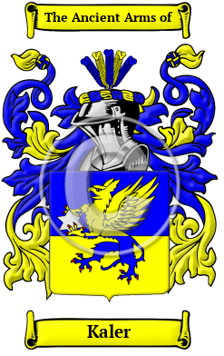 Kaler Name Meaning, Family History, Family Crest & Coats of Arms
