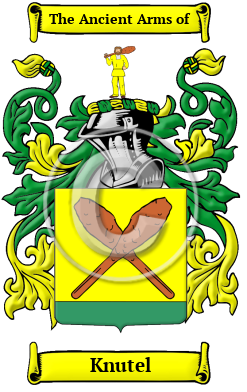 Knutel Name Meaning, Family History, Family Crest & Coats of Arms
