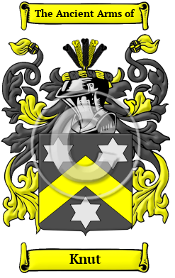 Knut Name Meaning, Family History, Family Crest & Coats of Arms