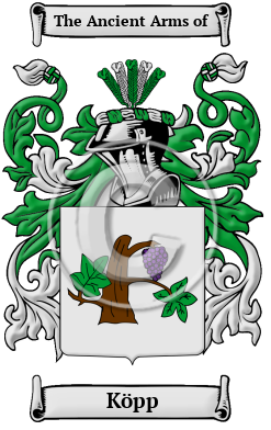 Köpp Name Meaning, Family History, Family Crest & Coats of Arms