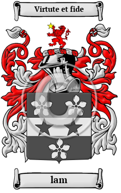 Lam Name Meaning, Family History, Family Crest & Coats of Arms, english