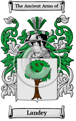 Landey Name Meaning, Family History, Family Crest & Coats of Arms