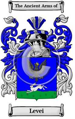 Levei Name Meaning, Family History, Family Crest & Coats of Arms