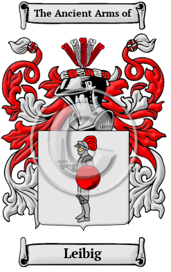 Leibig Name Meaning, Family History, Family Crest & Coats of Arms