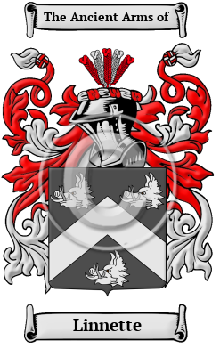 Linnette Name Meaning, Family History, Family Crest & Coats of Arms