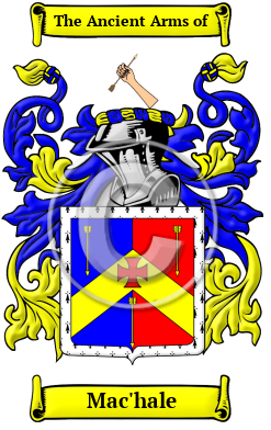Mac'hale Name Meaning, Family History, Family Crest & Coats of Arms