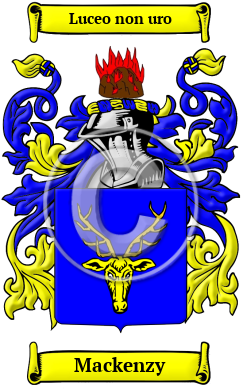 MacKenzy Name Meaning, Family History, Family Crest & Coats of Arms