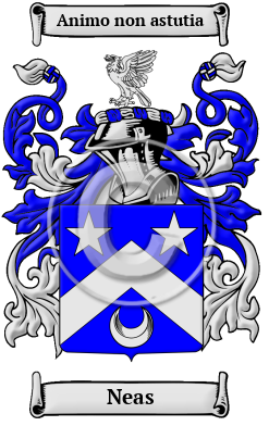 Neas Name Meaning, Family History, Family Crest & Coats of Arms