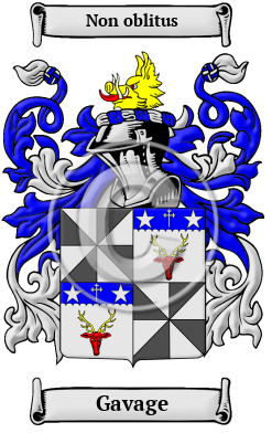 Gavage Name Meaning, Family History, Family Crest & Coats of Arms