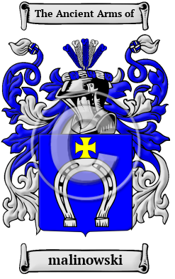 Malinowski Name Meaning, Family History, Family Crest & Coats of Arms