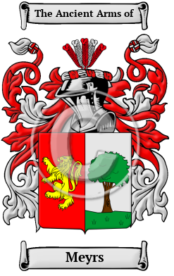 Meyrs Name Meaning, Family History, Family Crest & Coats of Arms