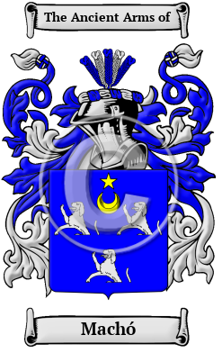Machó Name Meaning, Family History, Family Crest & Coats of Arms