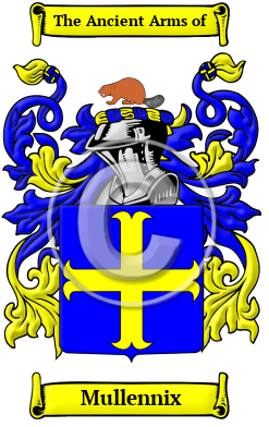 Mullennix Name Meaning, Family History, Family Crest & Coats of Arms