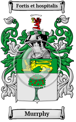 Murrphy Name Meaning, Family History, Family Crest & Coats of Arms