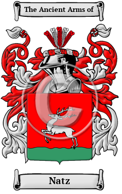 Natz Name Meaning, Family History, Family Crest & Coats of Arms