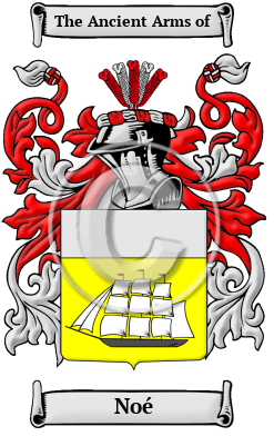 Noé Name Meaning, Family History, Family Crest & Coats of Arms
