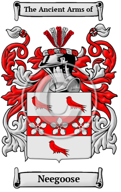Neegoose Name Meaning, Family History, Family Crest & Coats of Arms