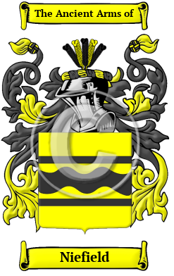 Niefield Name Meaning, Family History, Family Crest & Coats of Arms