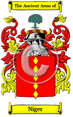 Níger Name Meaning, Family History, Family Crest & Coats of Arms