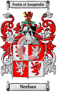 Neehan Name Meaning, Family History, Family Crest & Coats of Arms