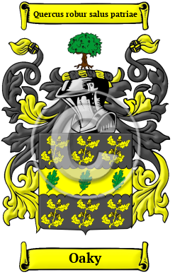 Oaky Name Meaning, Family History, Family Crest & Coats of Arms
