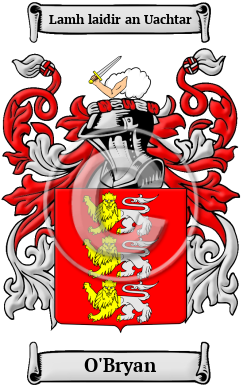 O'Bryan Name Meaning, Family History, Family Crest & Coats of Arms