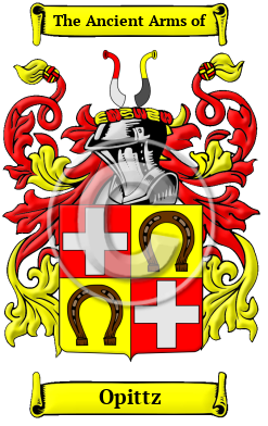 Opittz Name Meaning, Family History, Family Crest & Coats of Arms