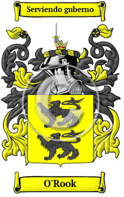 O'Rook Name Meaning, Family History, Family Crest & Coats of Arms