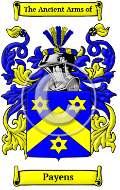 Payens Name Meaning, Family History, Family Crest & Coats of Arms