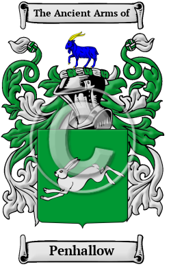 Penhallow Name Meaning, Family History, Family Crest & Coats of Arms