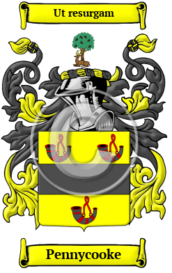 Pennycooke Name Meaning, Family History, Family Crest & Coats of Arms