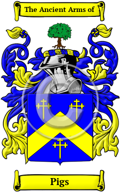 Pigs Name Meaning, Family History, Family Crest & Coats of Arms
