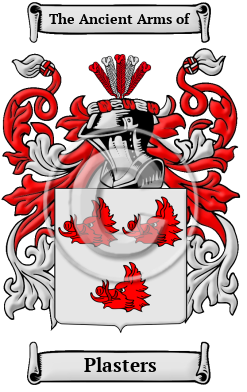Plasters Name Meaning, Family History, Family Crest & Coats of Arms