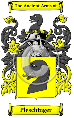 Pleschinger Name Meaning, Family History, Family Crest & Coats of Arms