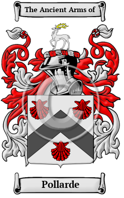 Pollarde Name Meaning, Family History, Family Crest & Coats of Arms
