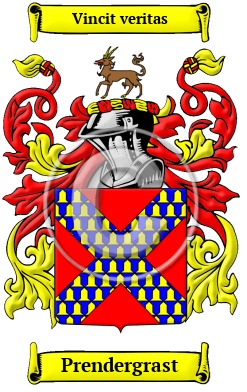 Prendergrast Name Meaning, Family History, Family Crest & Coats of Arms