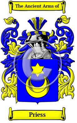 Priess Name Meaning, Family History, Family Crest & Coats of Arms