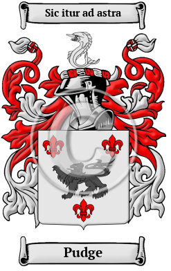 Pudge Name Meaning, Family History, Family Crest & Coats of Arms