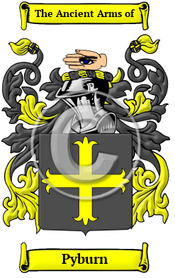 Pyburn Name Meaning, Family History, Family Crest & Coats of Arms