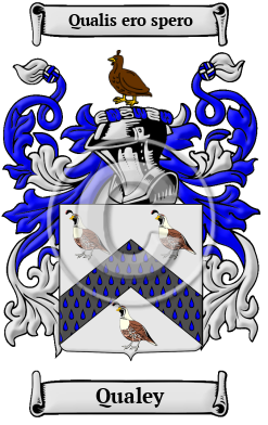 Qualey Name Meaning, Family History, Family Crest & Coats of Arms