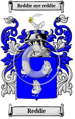 Reddie Name Meaning, Family History, Family Crest & Coats of Arms