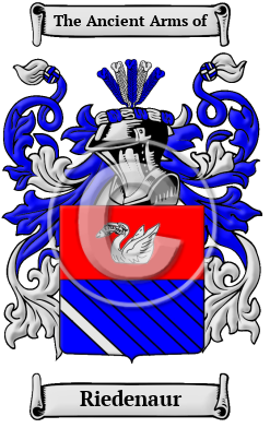 Riedenaur Name Meaning, Family History, Family Crest & Coats of Arms