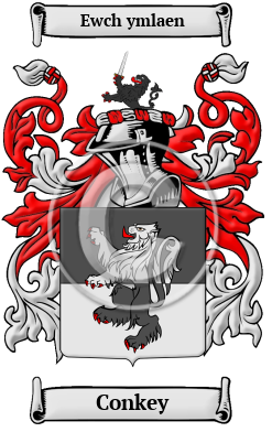 Conkey Name Meaning, Family History, Family Crest & Coats of Arms