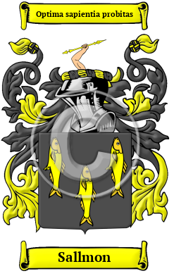 Sallmon Name Meaning, Family History, Family Crest & Coats of Arms