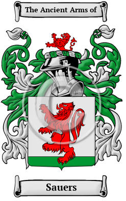 Sauers Name Meaning, Family History, Family Crest & Coats of Arms