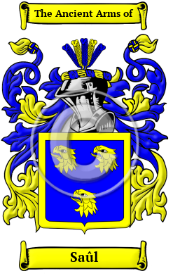 Saûl Name Meaning, Family History, Family Crest & Coats of Arms