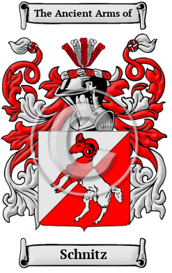 Schnitz Name Meaning, Family History, Family Crest & Coats of Arms