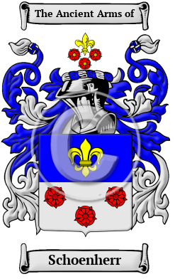 Schoenherr Name Meaning, Family History, Family Crest & Coats of Arms